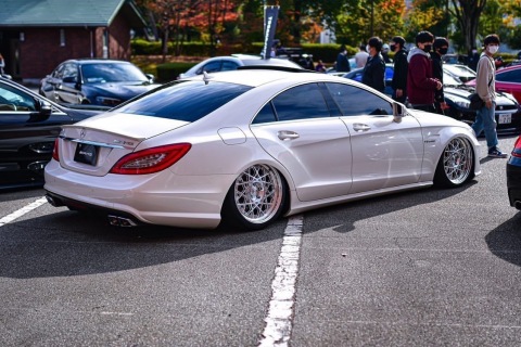 バラマンディデザイン